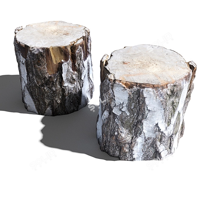 Sculpted Trunk Model for ArchViz 3D Model - SolidRocks.net