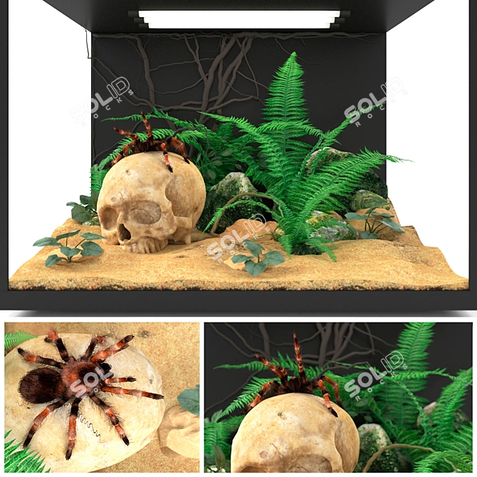 Sleek Tarantula 3D Render 3D Model - SolidRocks.net