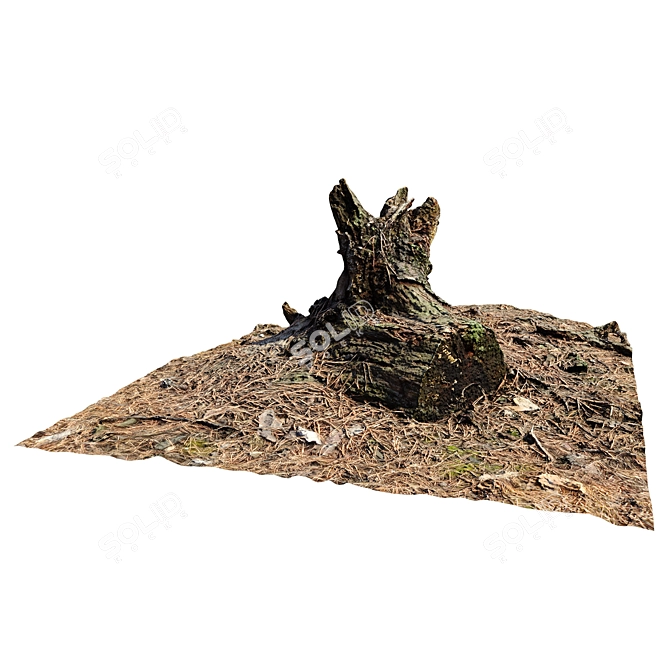 High-Resolution 3D Model: 46K Polygons 3D Model - SolidRocks.net