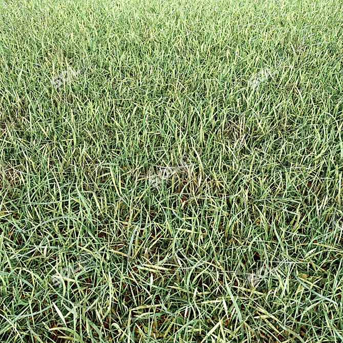 6-in-1 Scattering Grass Solution 3D Model - SolidRocks.net