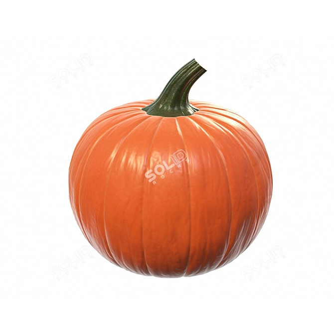 PBR Pumpkin 4k Texture 3D Model - SolidRocks.net