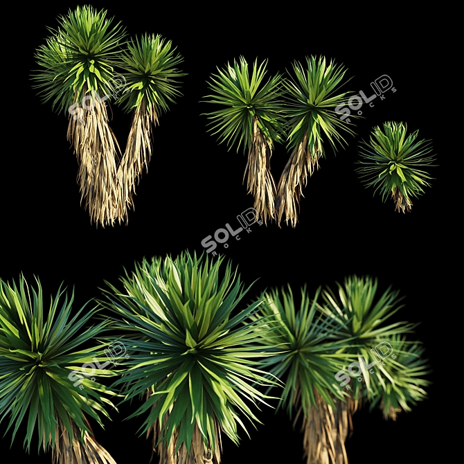 Yucca Tree: 3 Model Parts 3D Model - SolidRocks.net