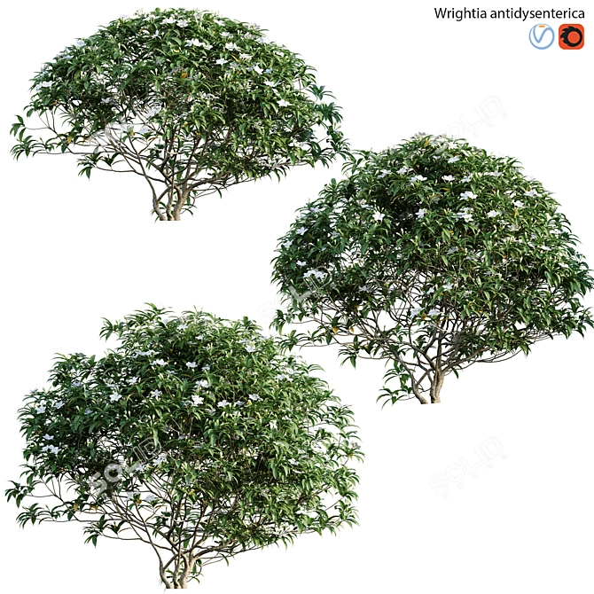 Antique 3D Models Bundle 3D Model - SolidRocks.net