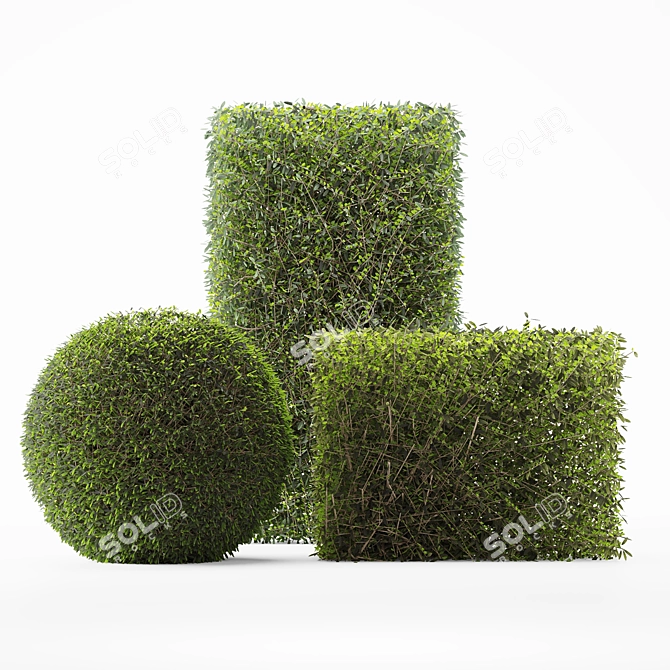 3-Part Bush Model Kit 3D Model - SolidRocks.net