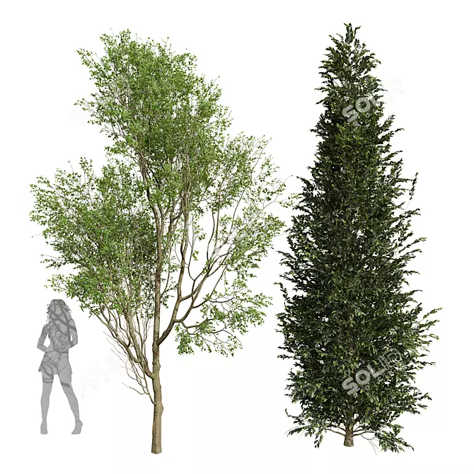 Dual 3D Tree Models Bundle 3D Model - SolidRocks.net